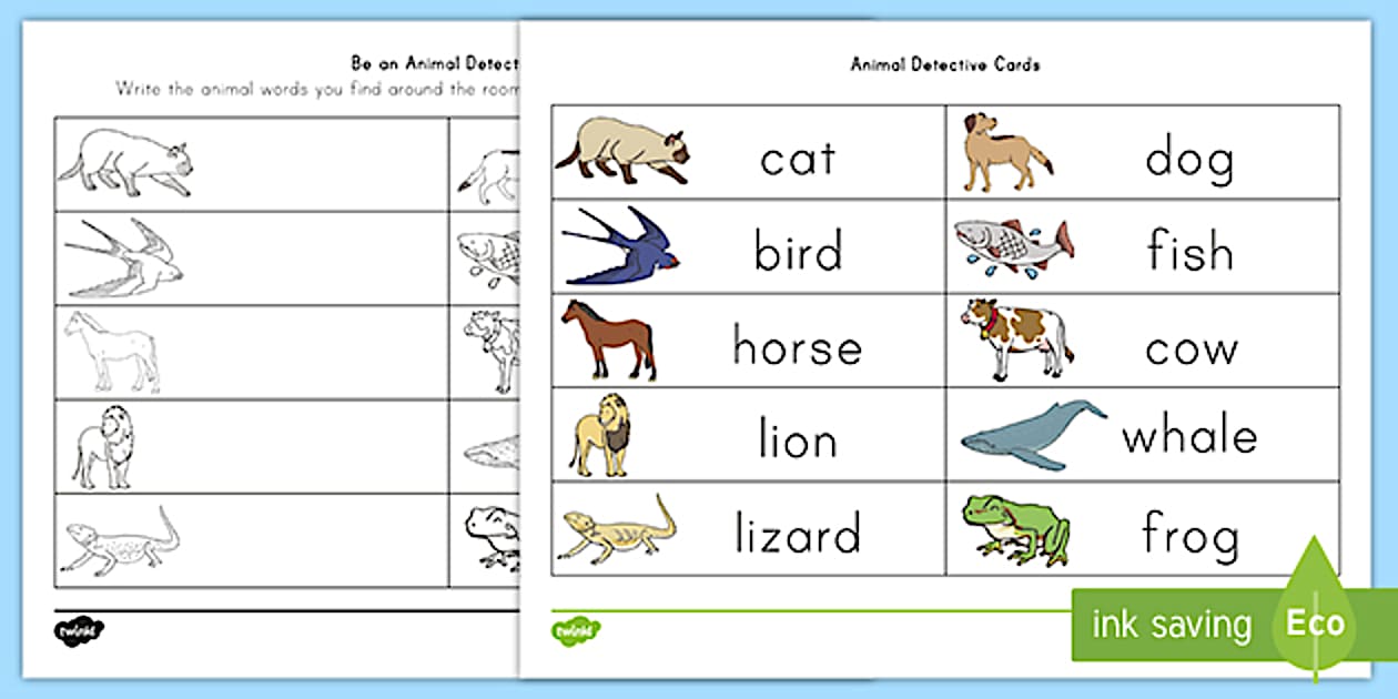 Animals Read and Write the Room Worksheet - Twinkl