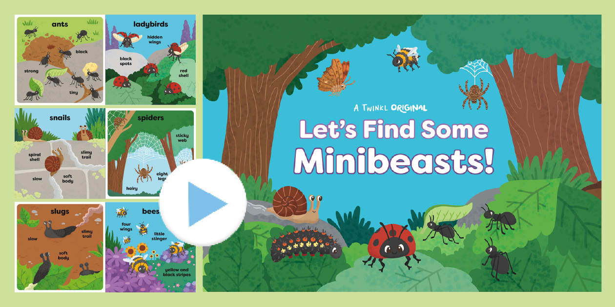 Let's Find Some Minibeasts! PowerPoint (teacher made)