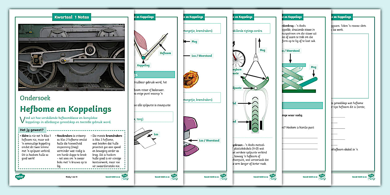 Kwartaal 1 Notas: Ondersoek Hefbome en Koppelings - Twinkl