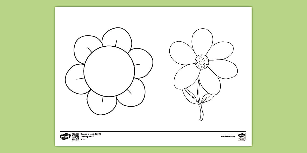 Easy Flowers Colouring Page | Colouring Sheets - Twinkl