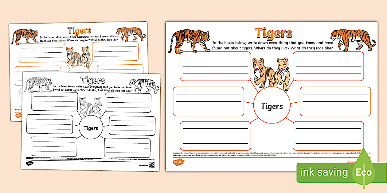 Facts about Tigers Mind Map (teacher made) - Twinkl
