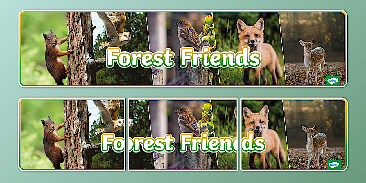 Forest Friends Photo Display Banner (teacher made) - Twinkl