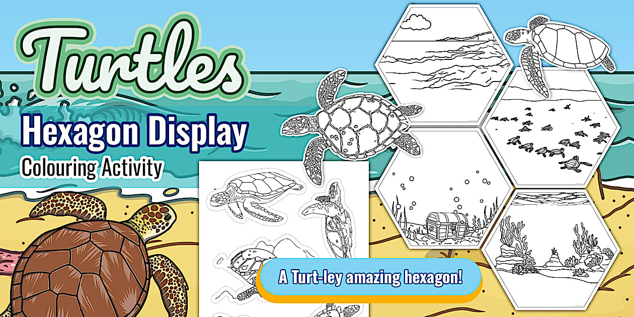 Turtles Hexagon Display Colouring Activity