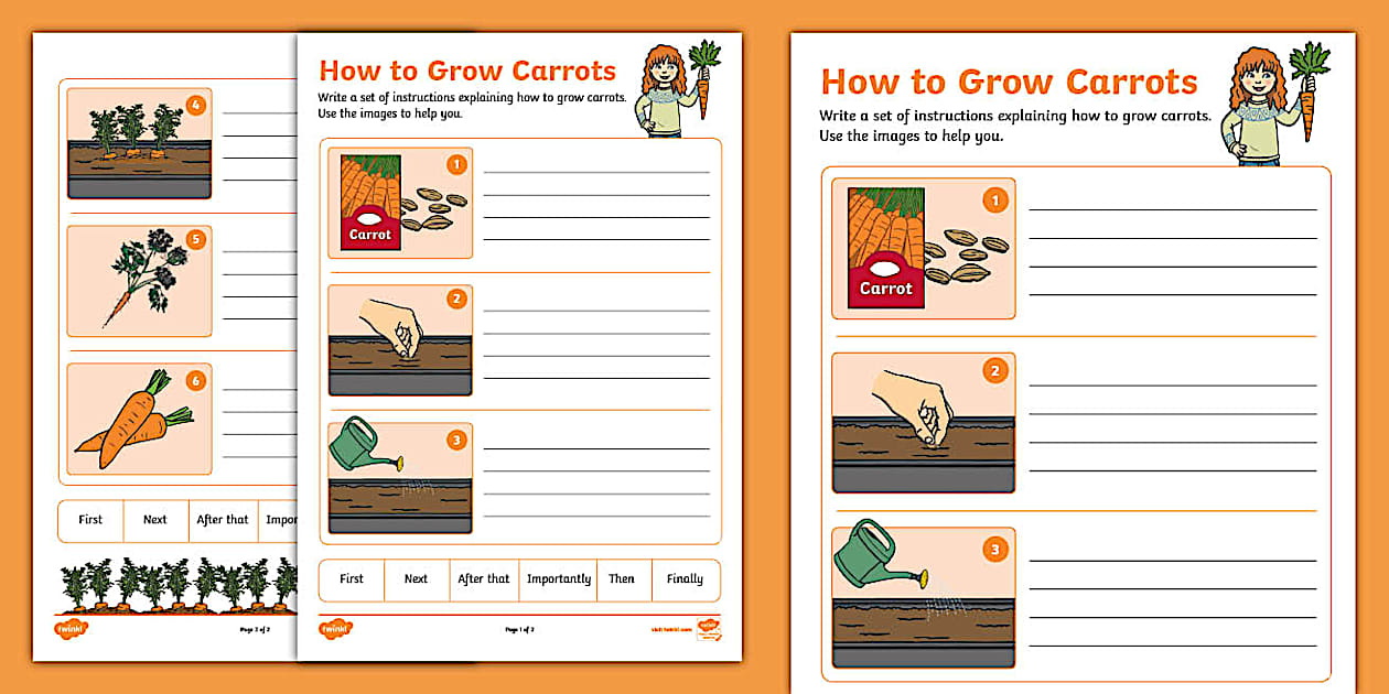 Growing Carrots Instruction Writing Template (teacher made)