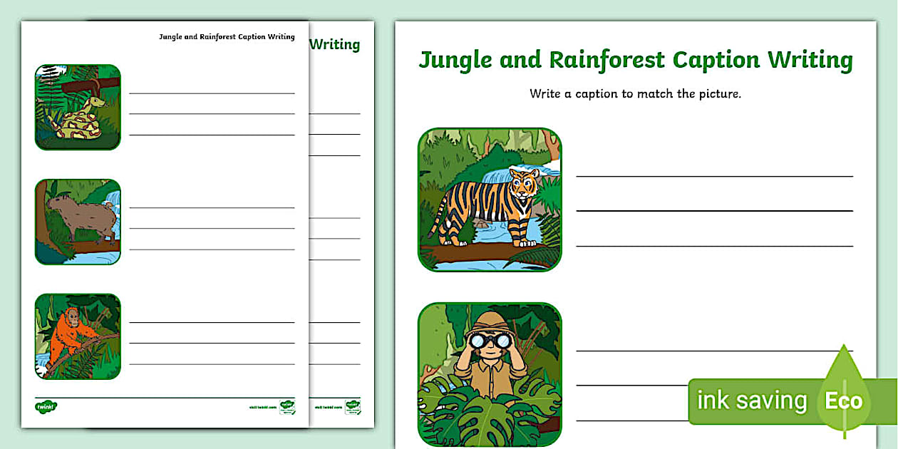 Jungle and Rainforest Caption Writing Activity - Twinkl