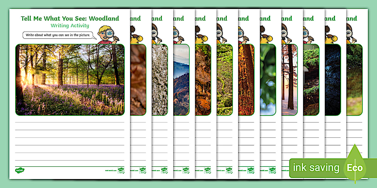Tell Me What You See: Woodland Writing Activities | Twinkl