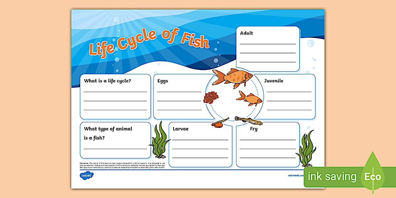 Life Cycle of Fish Fact File Template - Twinkl