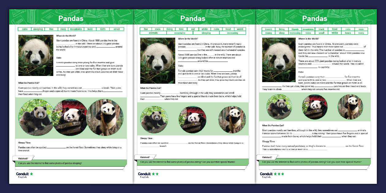 Reinforcing Reading: Pandas Differentiated Cloze Passages