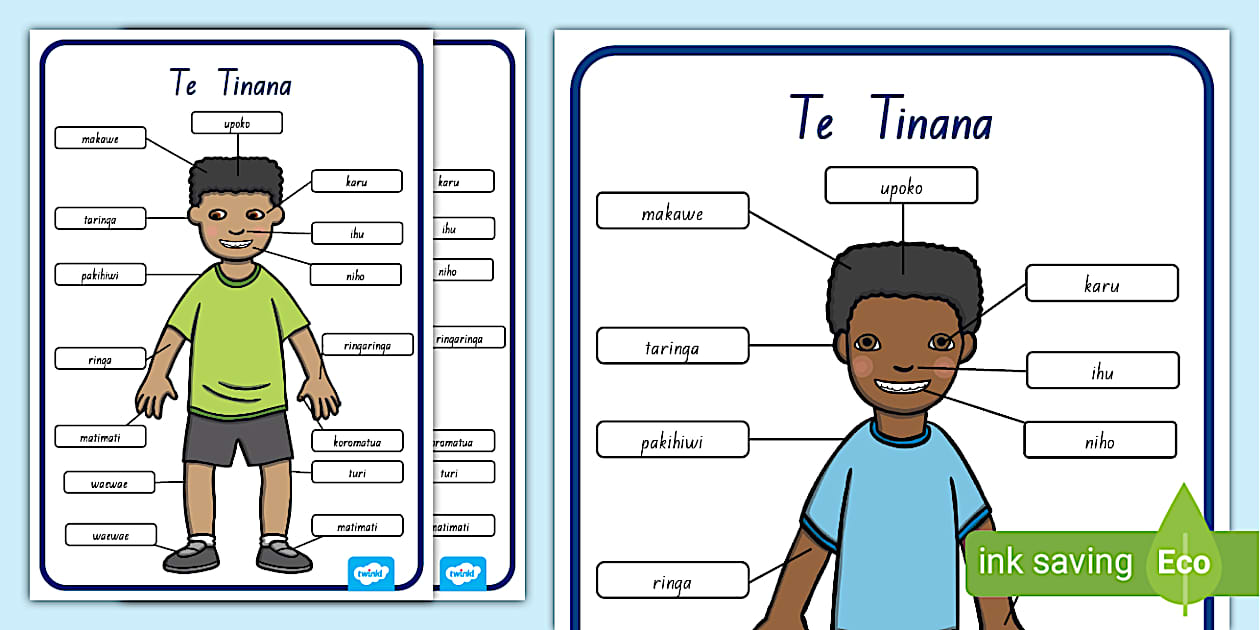 Editable Body Parts in Māori Display Posters - Twinkl