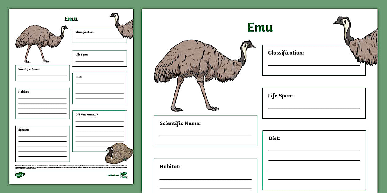 Emu Fact File Template (teacher made) - Twinkl
