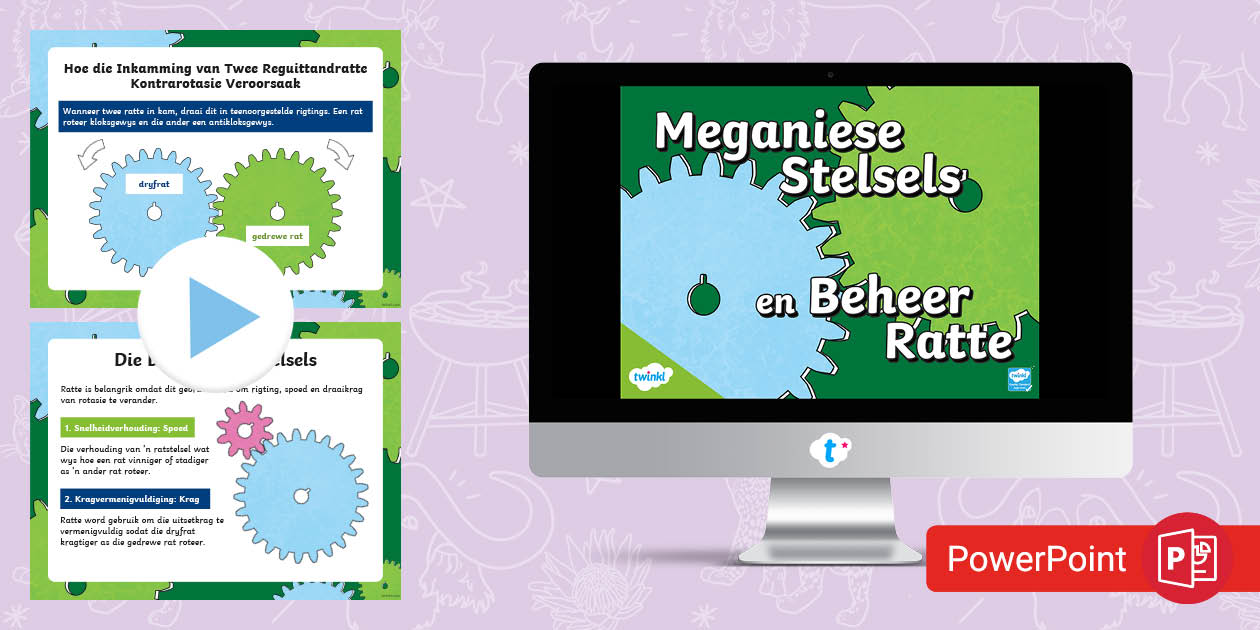 Meganiese Stelsels en Beheer Ratte PowerPoint - Twinkl