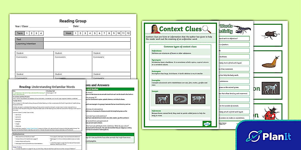 Year 3 Healthy Eating, Bones and Bodies: Reading Lesson 5