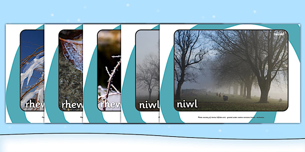 Winter Display Photographs Welsh Translation (teacher made)