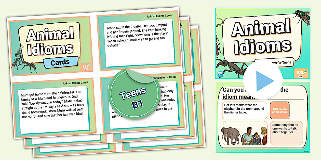 ESL Animal Idioms Activity Pack (teacher made) - Twinkl