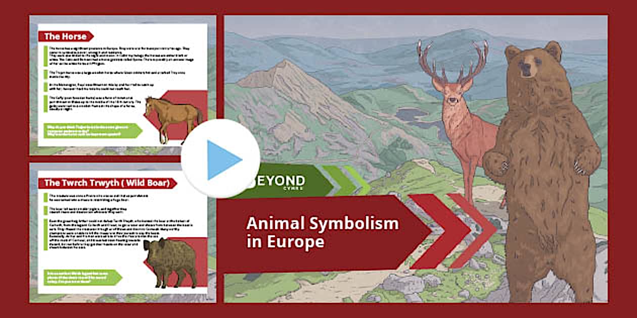 Animal Symbolism in European History (teacher made) - Twinkl
