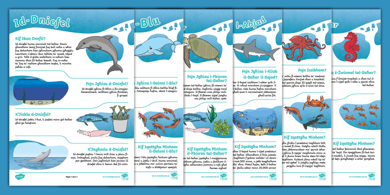 Taħriġ il-Fehem - Il-Jum Dinji tal-Oċeani - Twinkl