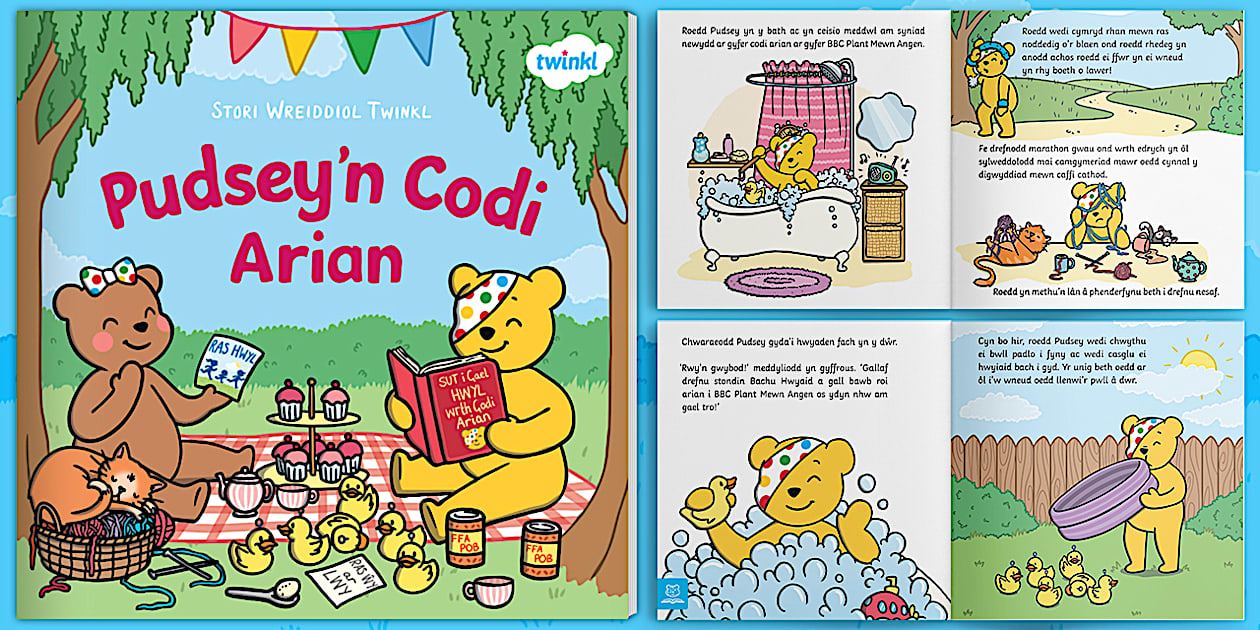 Stori Pudsey'n Codi Arian (teacher made) - Twinkl
