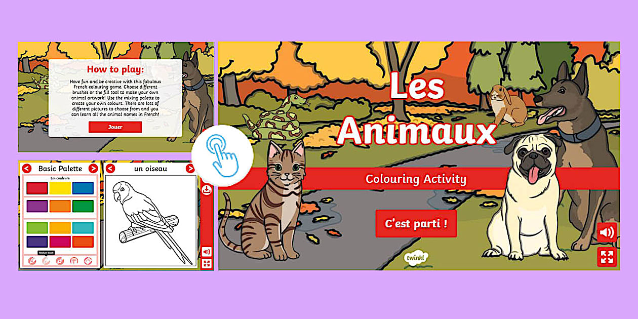 👉 French: Pets Interactive Colouring Activity - Twinkl