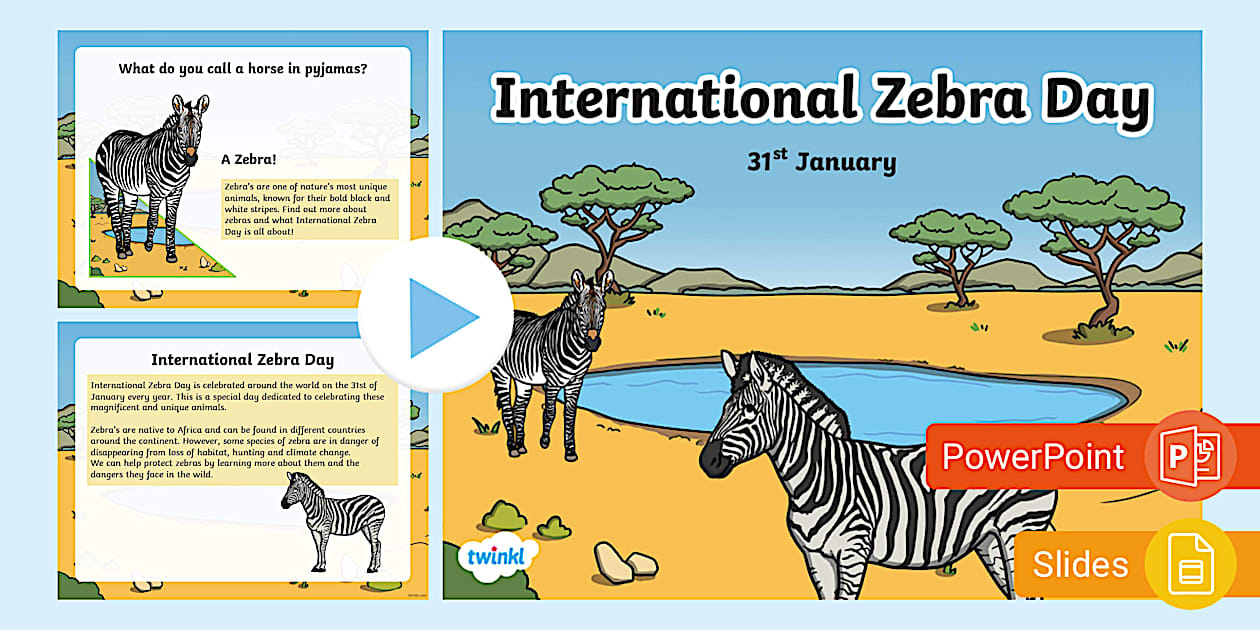 International Zebra Day PowerPoint (Lehrer gemacht) - Twinkl