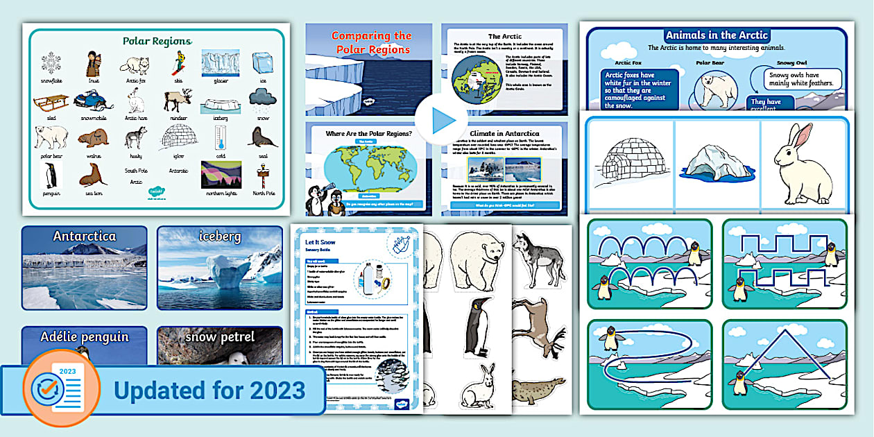 Childminder Polar Regions Resource Pack - Twinkl