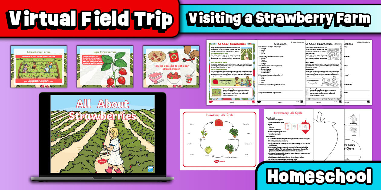 Virtual Field Trip Visiting a Strawberry Farm for Homeschool