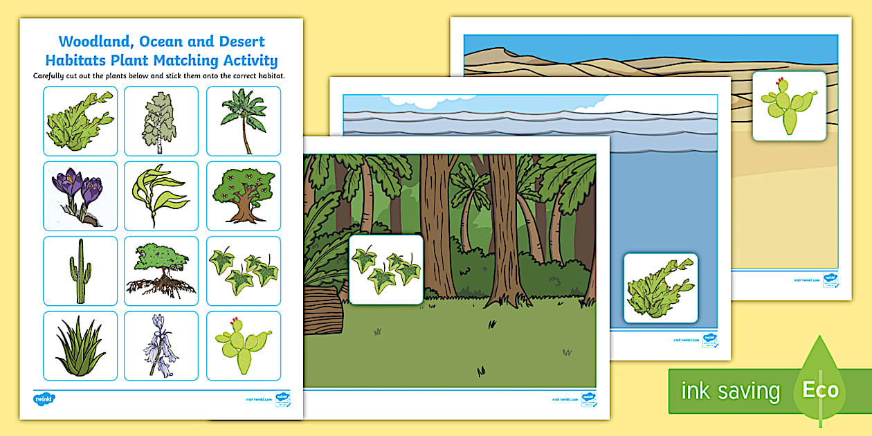 Different Habitats Plants Sorting Worksheet - KS1 - Twinkl