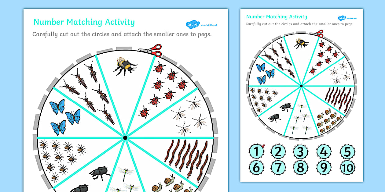 Number Matching Pegs Activity Minibeasts (Teacher-Made)