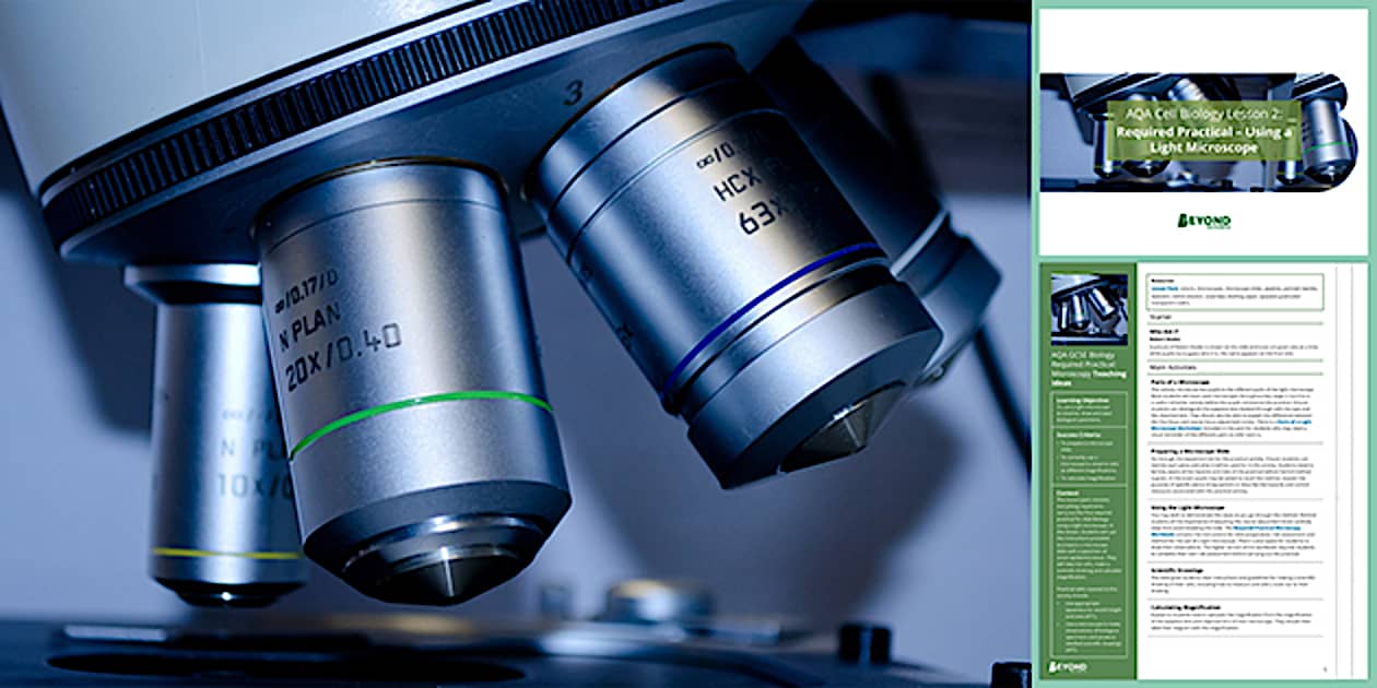 Cell Biology 2: Microscopy Required Practical | Beyond