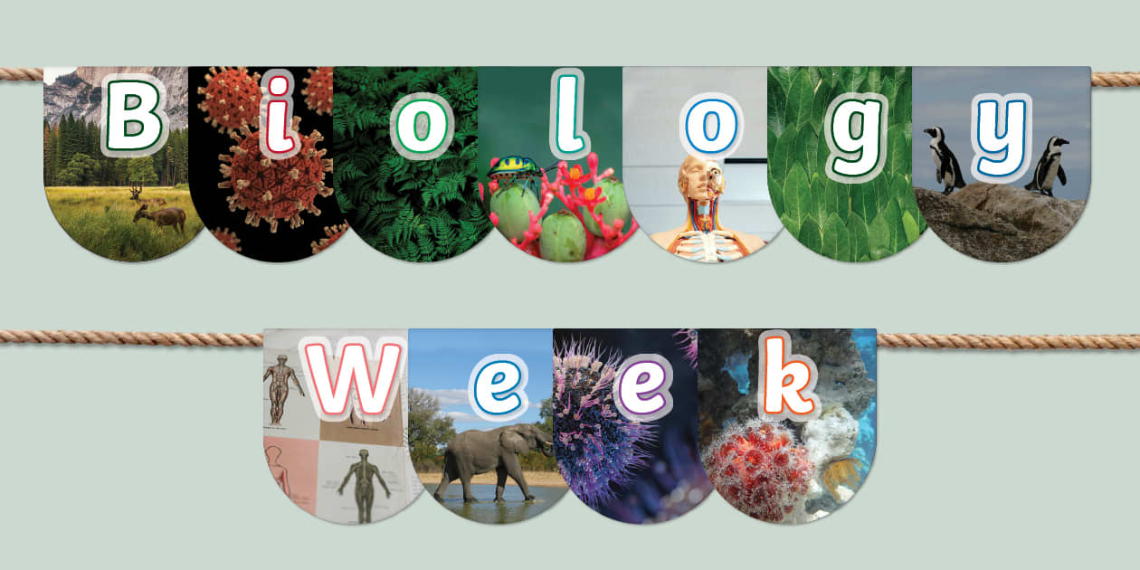 Biology Week Display Bunting - Twinkl Our Learning - Twinkl