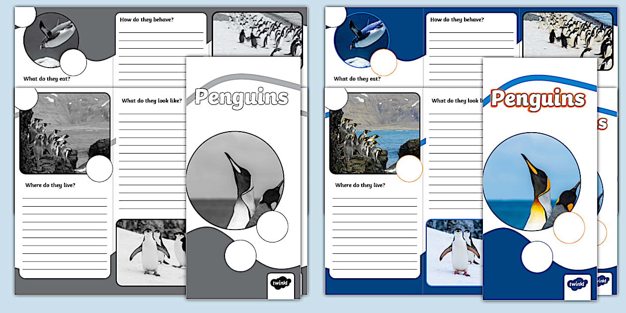 Penguins Leaflet Template (Teacher-Made) - Twinkl
