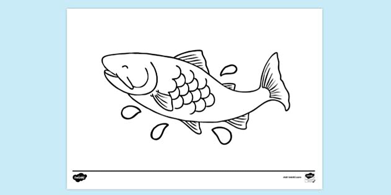 Carp Fish Colouring | Colouring Sheets (teacher made)