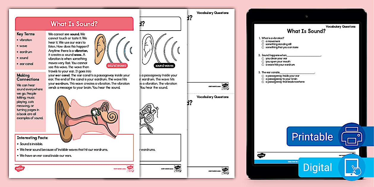 Sound and Waves Worksheet | Physical Science | Twinkl