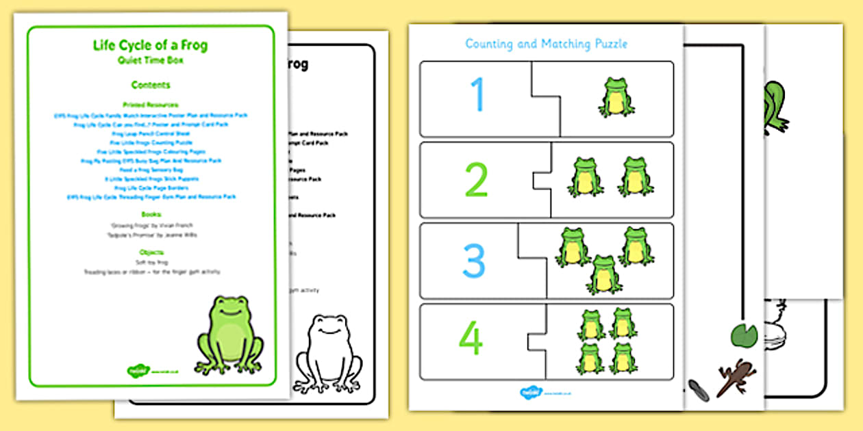 Life Cycle of a Frog Quiet Time Box Quiet Time Box - Twinkl
