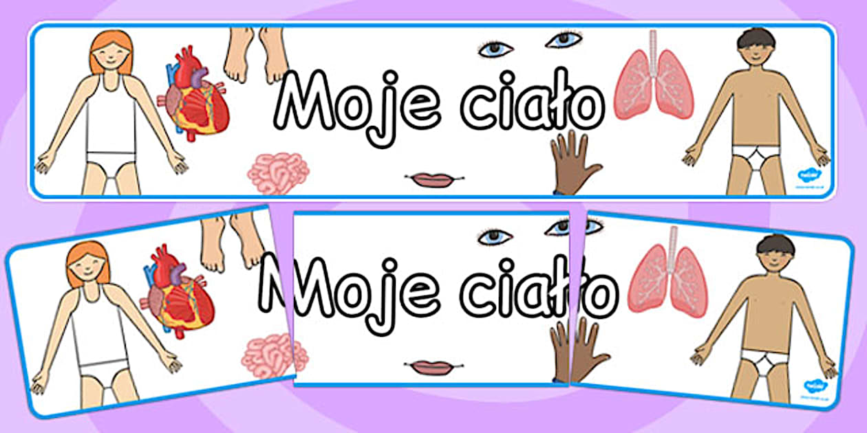 👉 Banner na gazetkę scienną Moje cialo po polsku , Polish