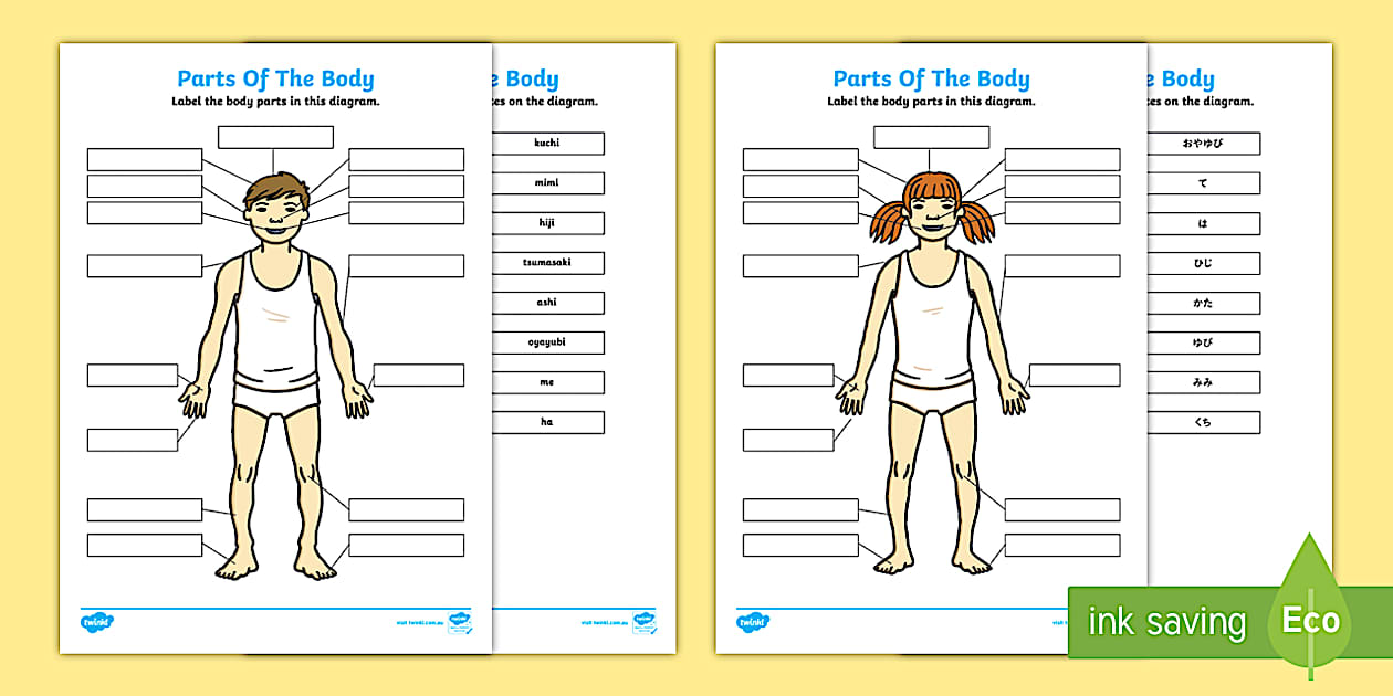 Japanese Parts of the Body Cut and Stick Worksheet