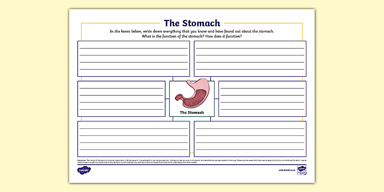 The Stomach Mind Map (l'enseignant a fait) - Twinkl