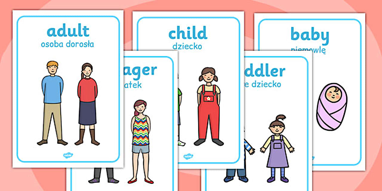 👉 Human Growth Display Posters Polish Translation - polish