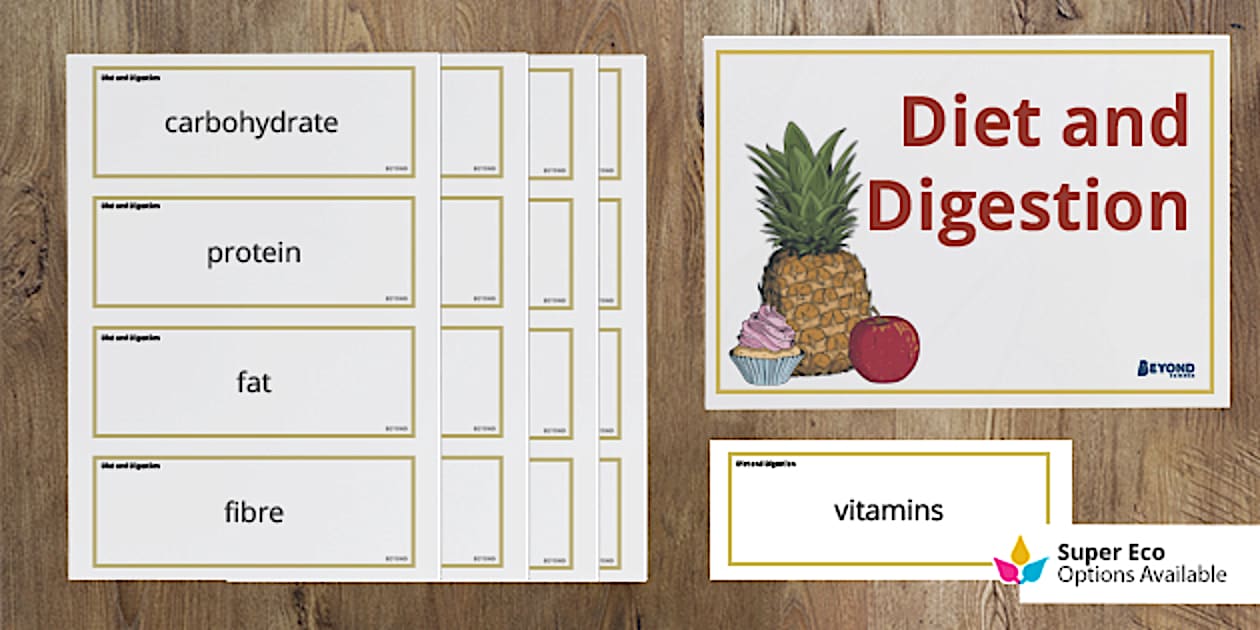 Diet and Digestion Word Wall | KS3 Biology | Beyond - Twinkl