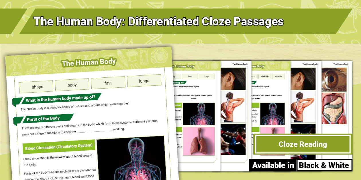Differentiated Cloze Passages for The Human Body