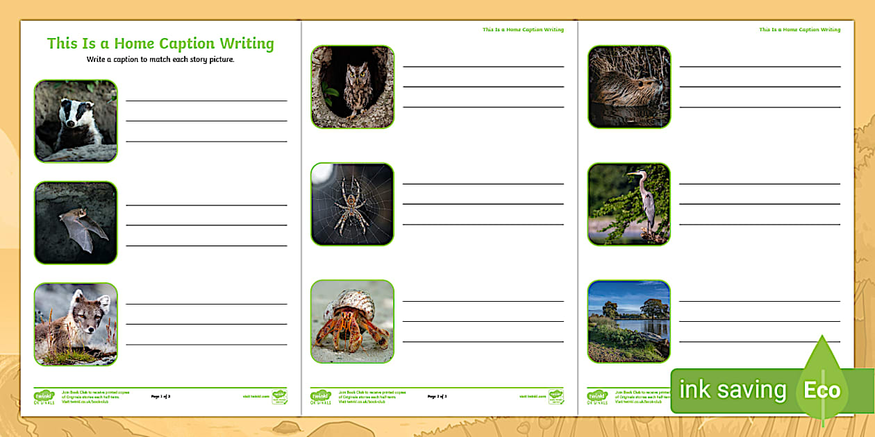 This Is a Home Caption Writing Activity | Twinkl Originals