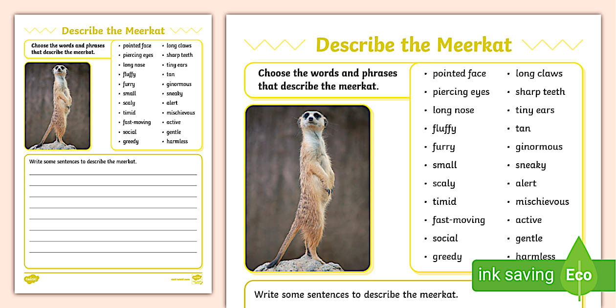 Describe the Meerkat Writing Worksheet,meerkats - Twinkl
