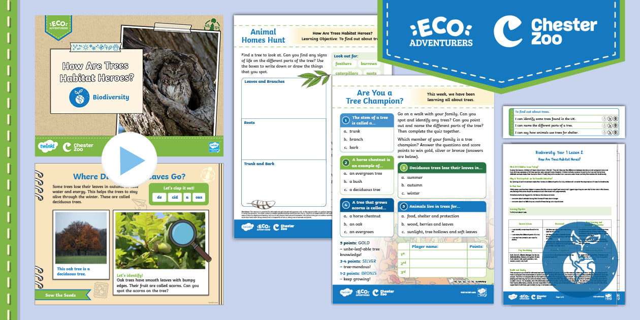 FREE! - Year 1 Biodiversity Lesson 2: How Are Trees Habitat Heroes?