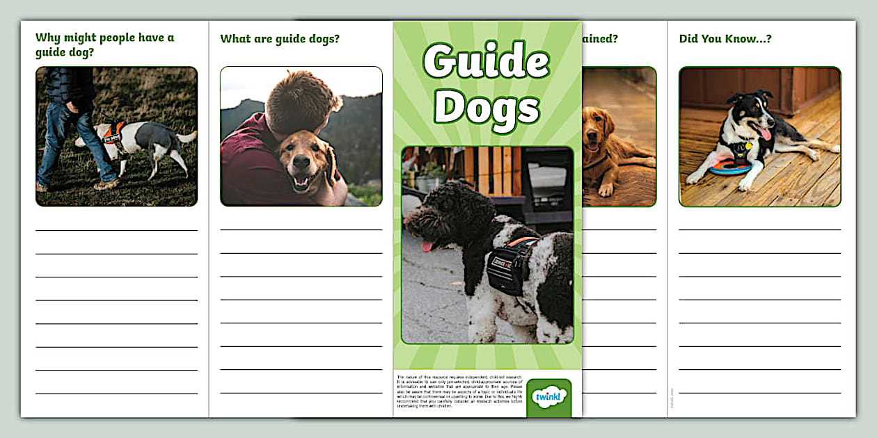 Guide Dogs Leaflet Template (teacher made) - Twinkl