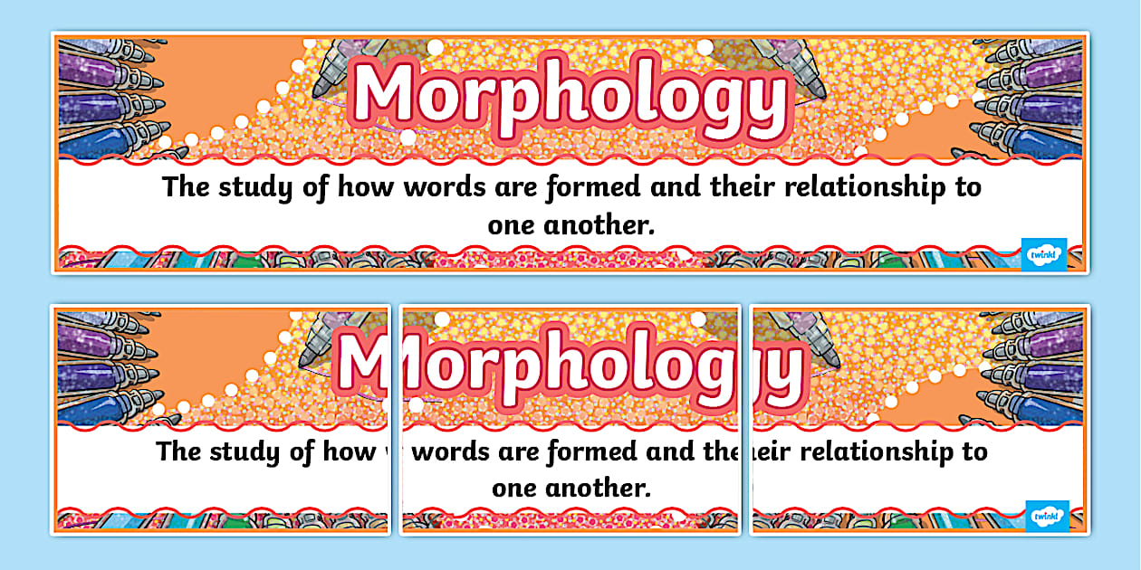 Morphology Display Banner (teacher made) - Twinkl