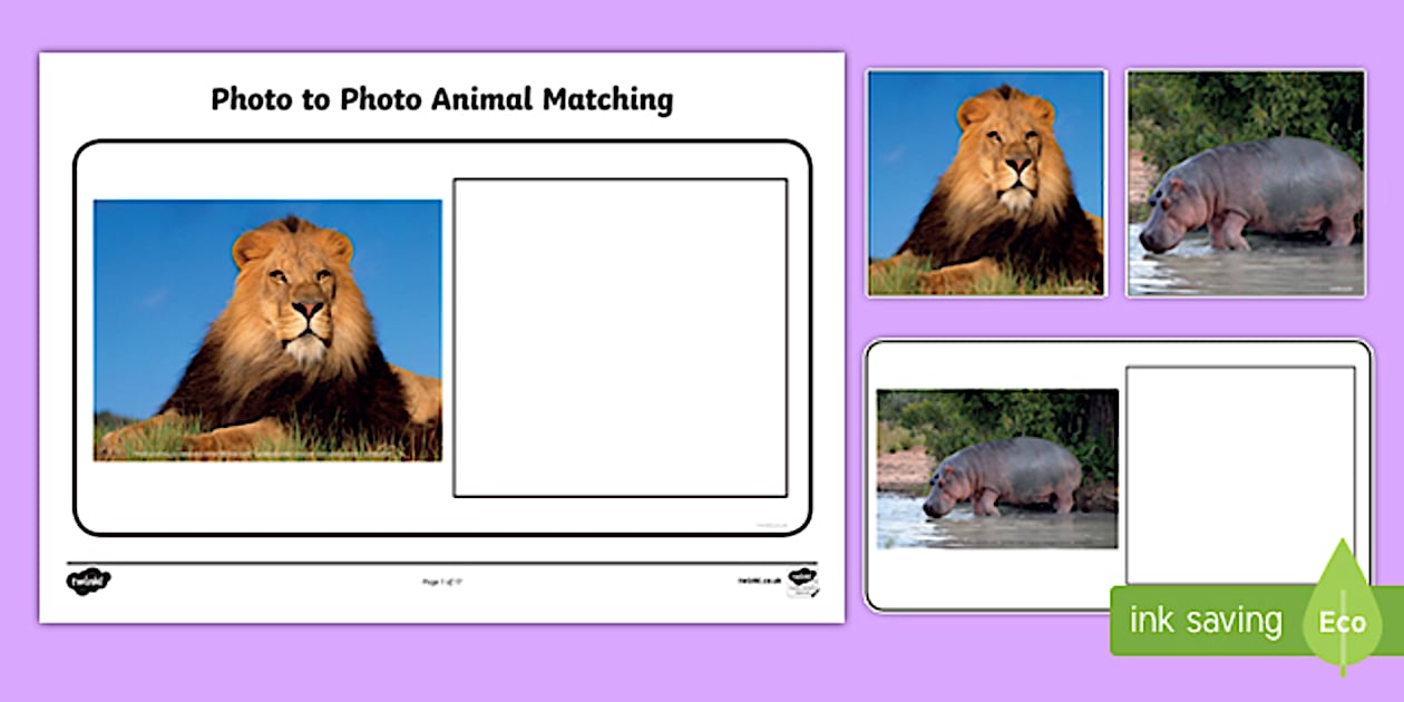 Editable Workstation Pack: Photo to Photo Animal Matching Activity Pack