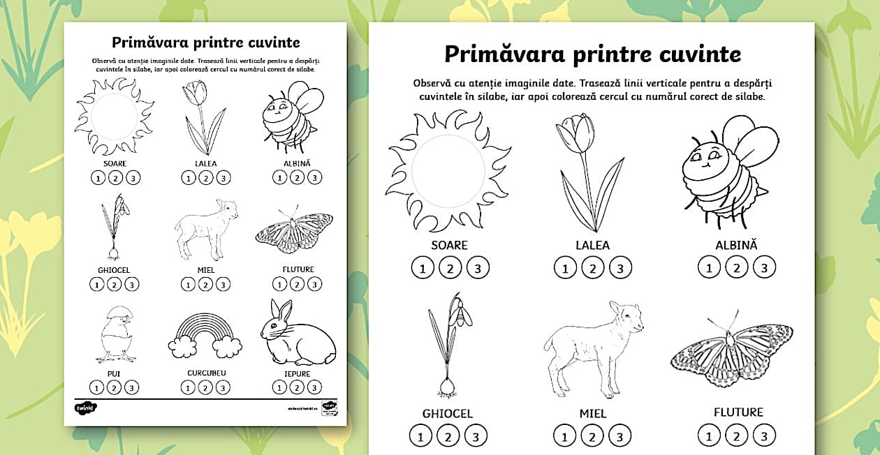 Despărțirea în silabe – Fișă de lucru (teacher made)