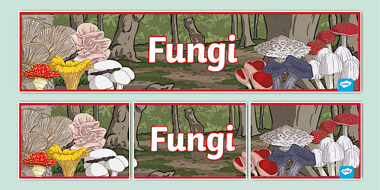 Editable Fungi Banner (teacher made) - Twinkl