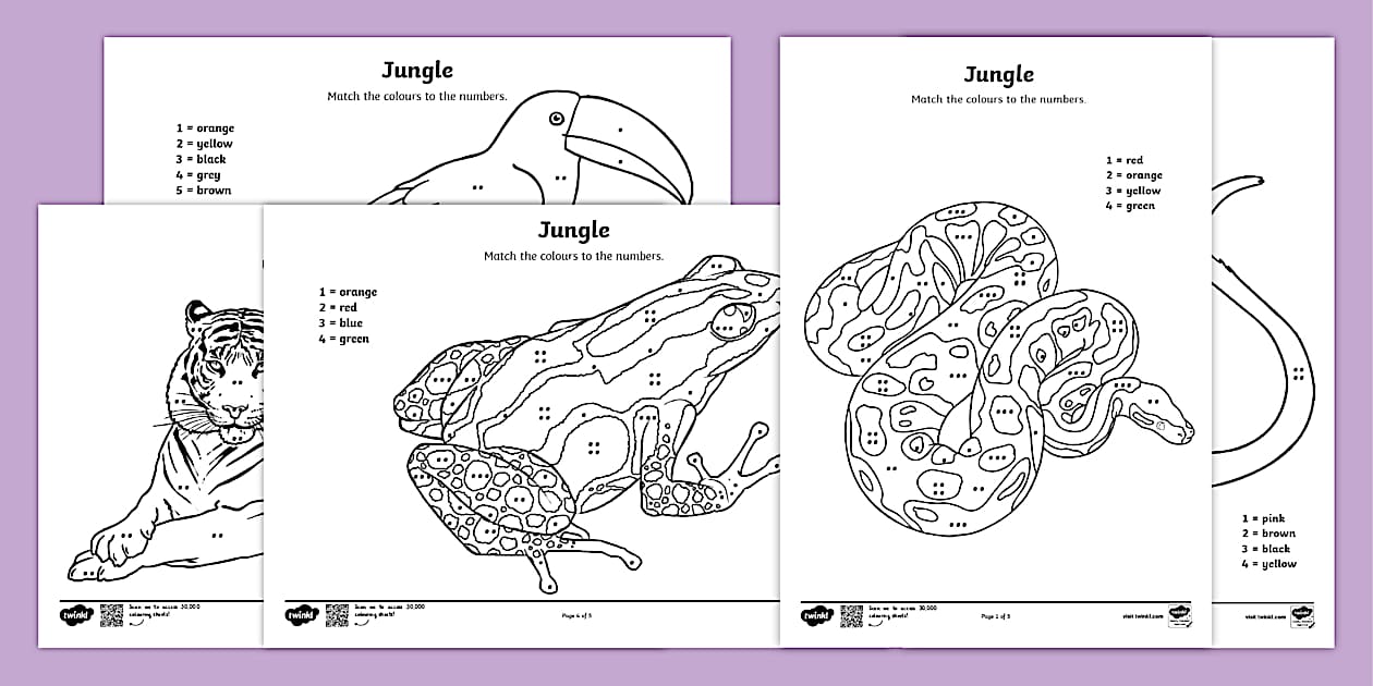 Editable Jungle Colour by Number Counting Worksheet - Twinkl