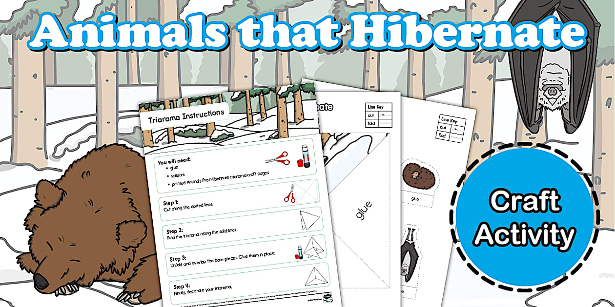 Animals that Hibernate Triarama Craft - Twinkl