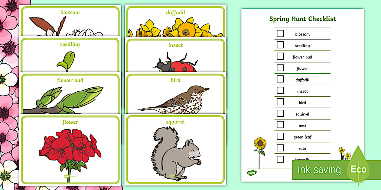 Spring Hunt Activity Pack (teacher made) - Twinkl